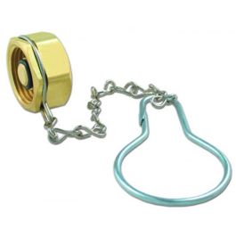 One-Piece Plug & Chain Assembly CGA 350